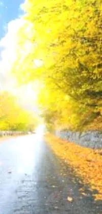 Yellow Vintage Photo Live Wallpaper - free download