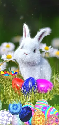 Plant Flower Rabbit Live Wallpaper - free download