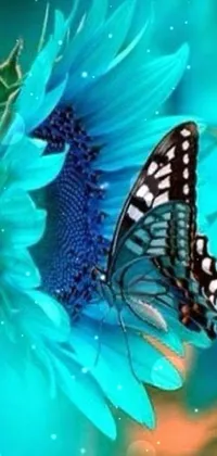 Pollinator Butterfly Insect Live Wallpaper - free download