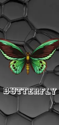 Butterfly Insect Pollinator Live Wallpaper - free download