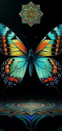Pollinator Butterfly Insect Live Wallpaper - free download