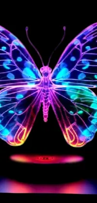 Pollinator Arthropod Insect Live Wallpaper - free download