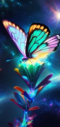 Pollinator Insect Light Live Wallpaper