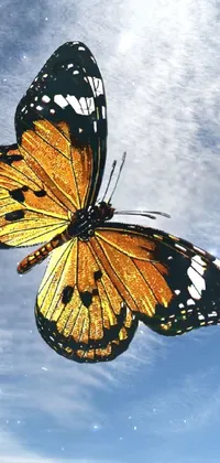 Pollinator Butterfly Insect Live Wallpaper - free download