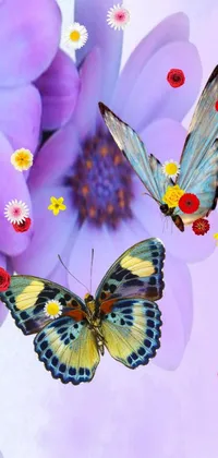 Pollinator Butterfly Insect Live Wallpaper - free download