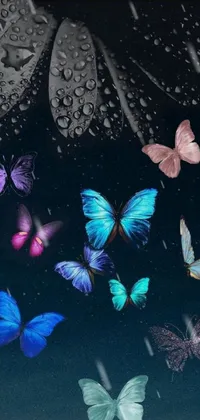 Insect Pollinator Arthropod Live Wallpaper - free download