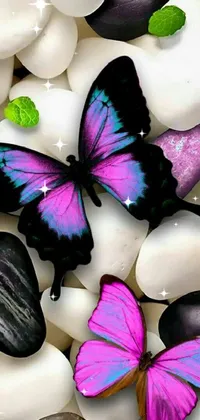 Butterfly Pollinator Insect Live Wallpaper