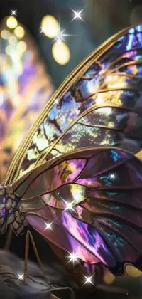 Pollinator Insect Butterfly Live Wallpaper - free download