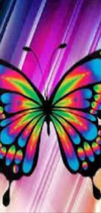 Pollinator Insect Arthropod Live Wallpaper