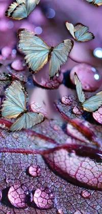 Pollinator Insect Plant Live Wallpaper - free download