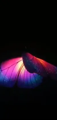 Purple Violet Visual Effect Lighting Live Wallpaper