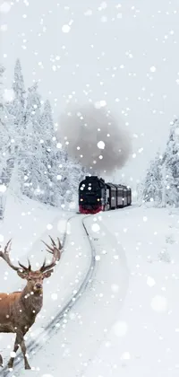 deer Live Wallpaper - free download