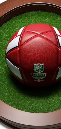 Sports Equipment Football Soccer Live Wallpaper - download