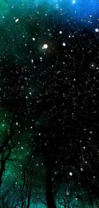 Tree Night Star Live Wallpaper