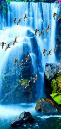 Water Bird World Live Wallpaper - free download
