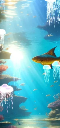 fish Live Wallpaper - free download