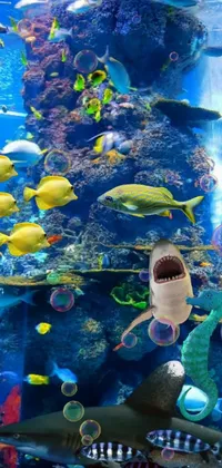Under The 3D Sea Live Wallpaper - free download