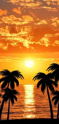 summer sunset Live Wallpaper - free download