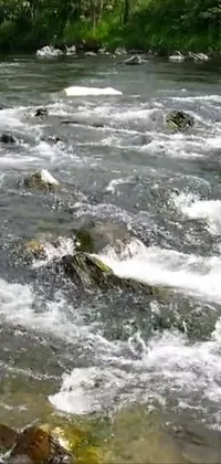 Water Water Resources Fluvial Landforms Of Streams Live Wallpaper
