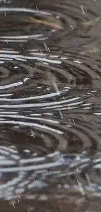 Water Liquid Fluid Live Wallpaper - free download