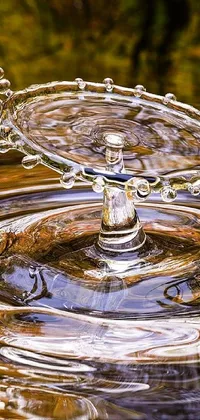 Water Liquid Water Resources Live Wallpaper - free download