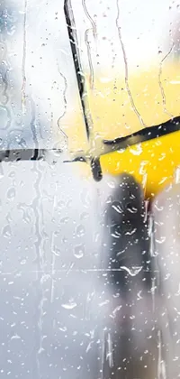 Rainy Day Live Wallpaper - Abstract But Captivating - free download