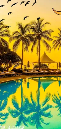 The summer Live Wallpaper - free download