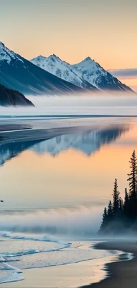 beautiful Live Wallpaper - free download