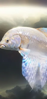 Fin Underwater Organism Live Wallpaper - free download