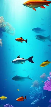 fish Live Wallpaper - free download