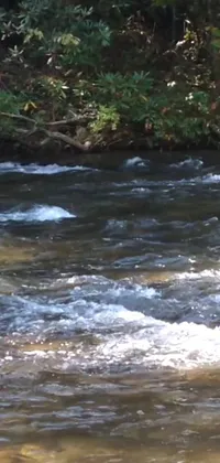Water Water Resources Fluvial Landforms Of Streams Live Wallpaper