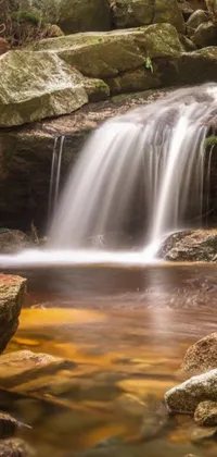 Tranquil Forest Waterfall Live Wallpaper - free download