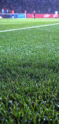 Green Grass People In Nature Live Wallpaper