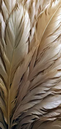 Product Leaf Natural Material Live Wallpaper