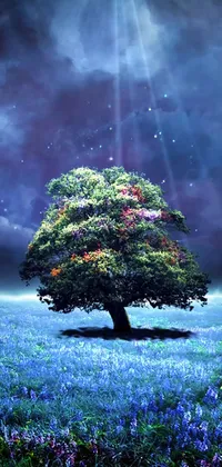 Lone Tree Under Moon Live Wallpaper